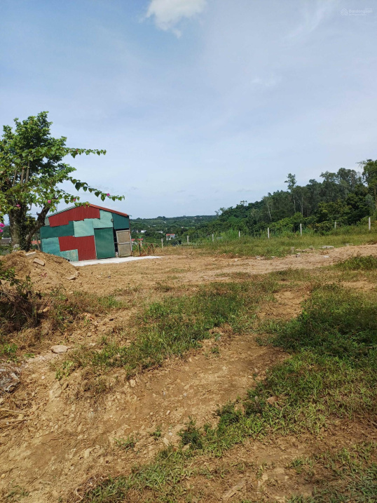 Bán đất: DT 4665 m2 OTN 300 m2 tai Nam Phương Tiến Chương Mỹ HN - lưng ...