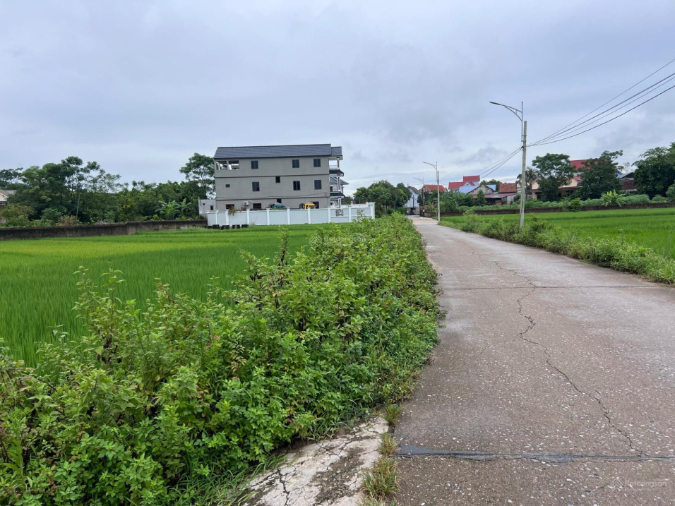 Bán gấp 2240m2 300m2 TC tại phường Đắc Sơn, Phổ Yên Thái Nguyên, cách DT 301 vào 200m