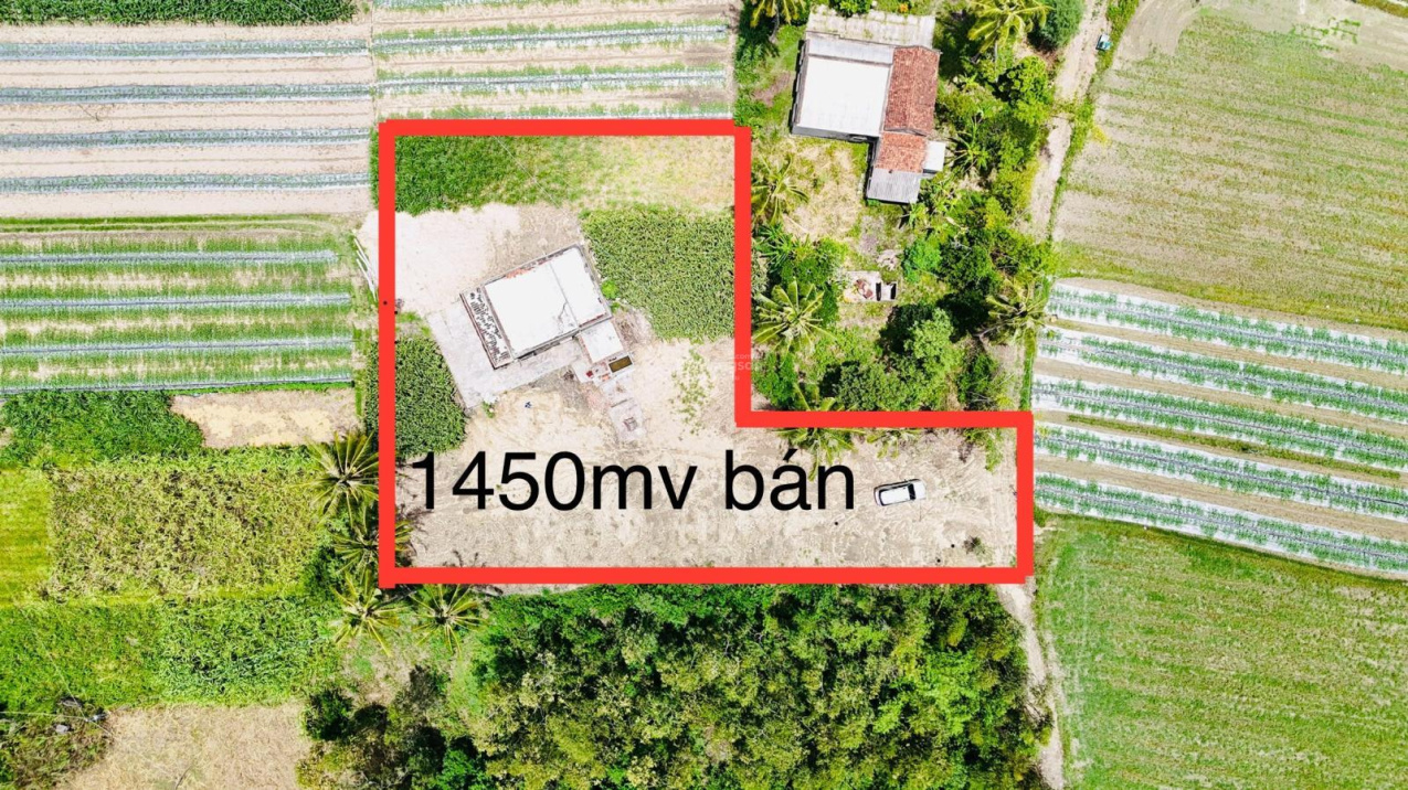 Bán mảnh vườn siêu rẻ 1.438m2 có 200m2 ONT giá chỉ 755 tr đường ô tô 7 chỗ