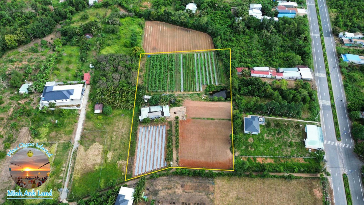 Bán 5000m2 hoặc 1ha đất, có sẵn thổ cư. Làm khu sinh thái, nghỉ dưỡng, biệt thự cực kỳ đẳng cấp