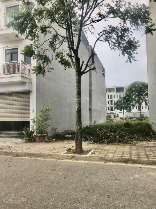 Chính chủ bán lô đất dãy LK15 cực đẹp khu đô thị Kỳ Đồng Ngay gần trung ...