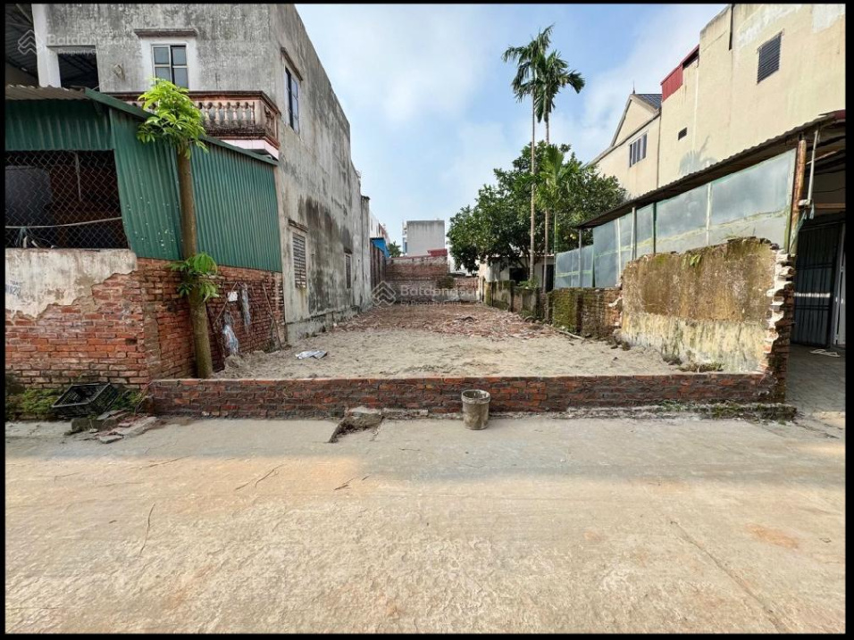 184m2 Tàm Xá, Đông Anh vị trí đắc địa phù hợp cho tất cả mọi nhu cầu ...