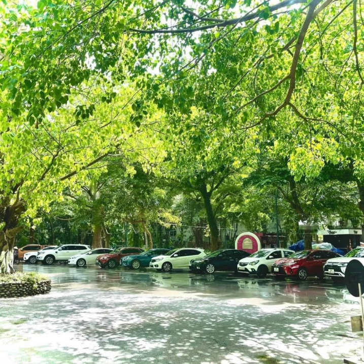 Chính chủ cần bán căn hộ tầng đặc biệt Mezza Sol Forest Ecopark giá tốt ...