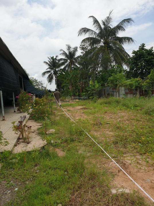 Bán đất, HXH, DT 434m2 (8x54,5m) KP An Tịnh, TX Trảng Bàng, Tây Ninh, giá 1,480 tỷ