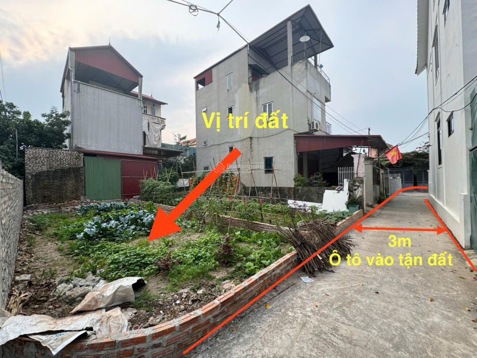 Anh zai gửi bán lô đất xã Thọ Xuân, Đan Phượng, Hà Nội - ô tô vào tận đất