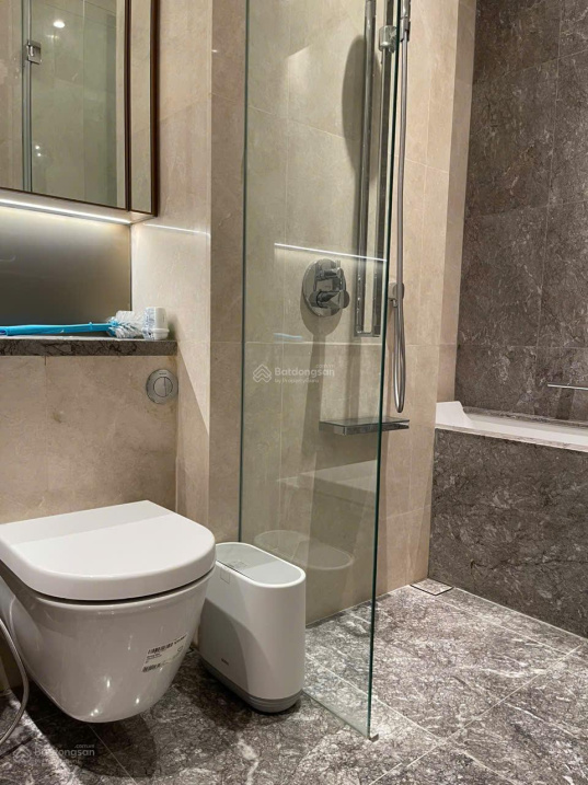 Cho thuê CC Celadon City, 10 triệu, 70m2, 2PN, 2WC tại N1, Sơn Kỳ, Tân ...