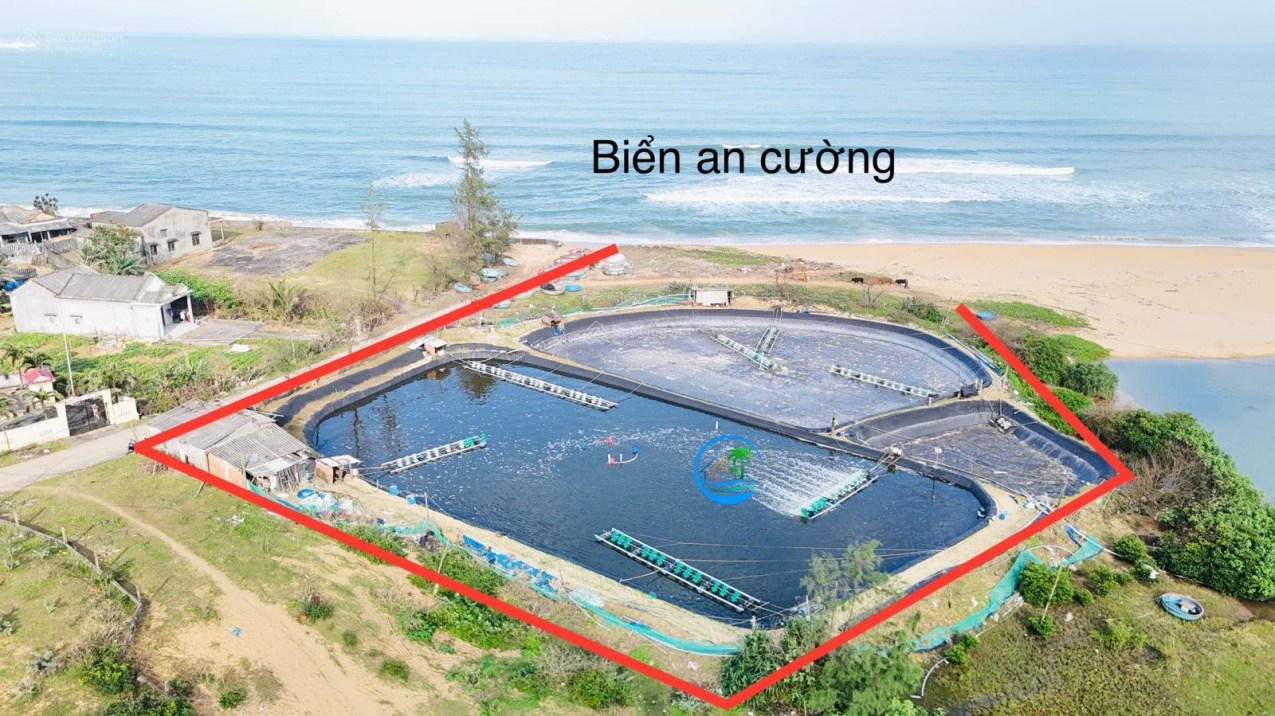 Bán đất mặt tiền biển! Hơn 3000m2 đất NN quy hoạch Tmdv giá khá rẻ vị trí nằm đồi cao