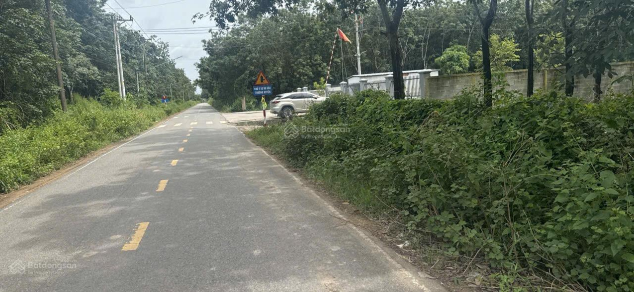 Bán 4 mẫu SKC Trừ Văn Thố Bàu Bàng BD có bán lẻ 1.5ha SKC, có 5000 SKC ...