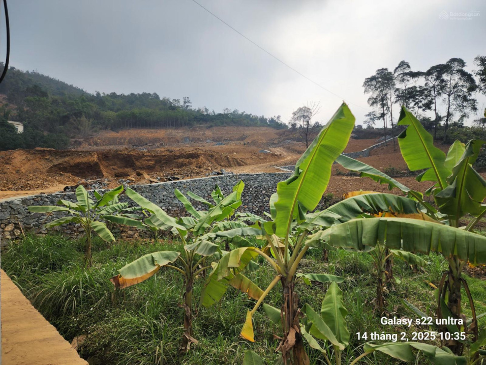 Bán đất tại Đại lộ Thăng Long, Quốc Oai, Hà Nội, giá siêu hời 700 triệu ...