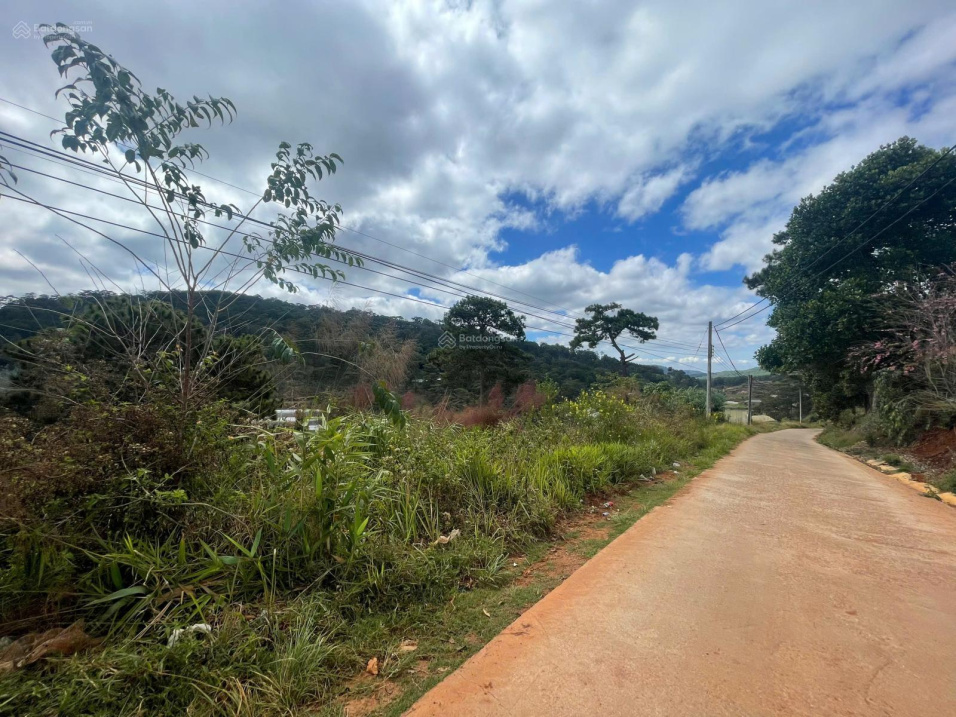 Lô ĐẤT 10000m2 - CƠ HỘI HIẾM -Một không gian sống lý tưởng - Tiềm năng Sinh Lời Cao