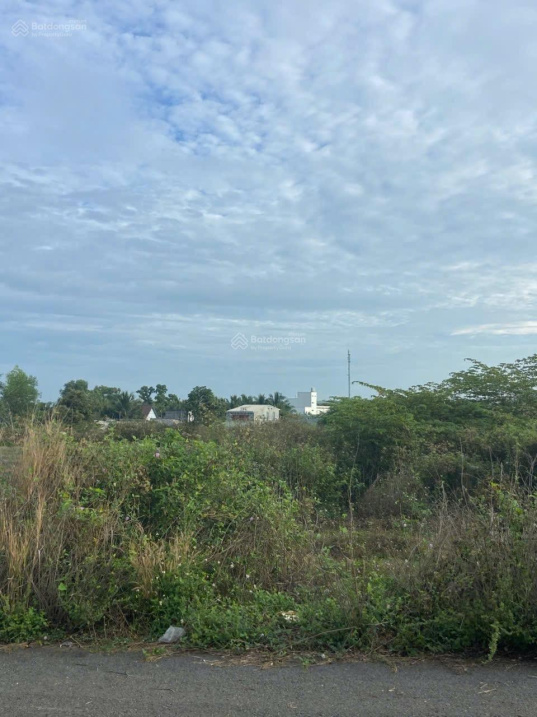 D114, 1 lô duy nhất 510m2 mặt tiền nhựa đẹp thông tứ phía, khu dân cứ cách 767 vào có hơn 100m