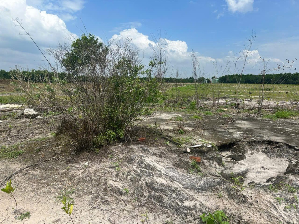 Chuyển nhượng đất xây dựng kho xưởng trong KCN Long Thành - có ưu đãi ...