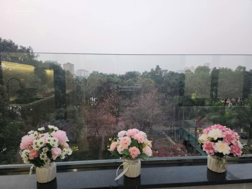 Em có căn hộ chung cư tòa Nơ 1B bán đảo Linh Đàm Tầng VIP cần bán