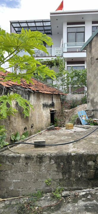 Tôi chính chủ bán đất đồi SaTô View thẳng cầu Bãi Cháy 53m MT4,2m giá 1 ...