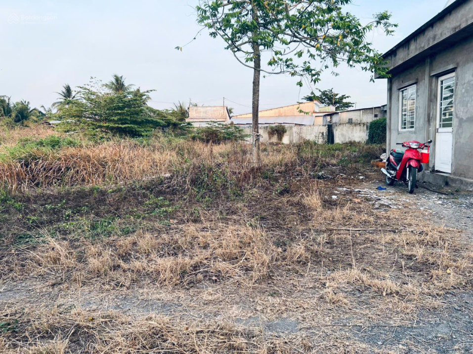 Đất mặt tiền Tỉnh Lộ 902, DT 6200m2, Mỹ An, Mang Thít, Vĩnh Long. Giá chỉ 4triệu/m2