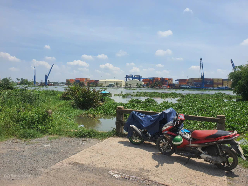 Bán MT Sông Sài Gòn DT: 32m nở hậu 50m dài 70m, đất vườn, vị trí đẹp ...