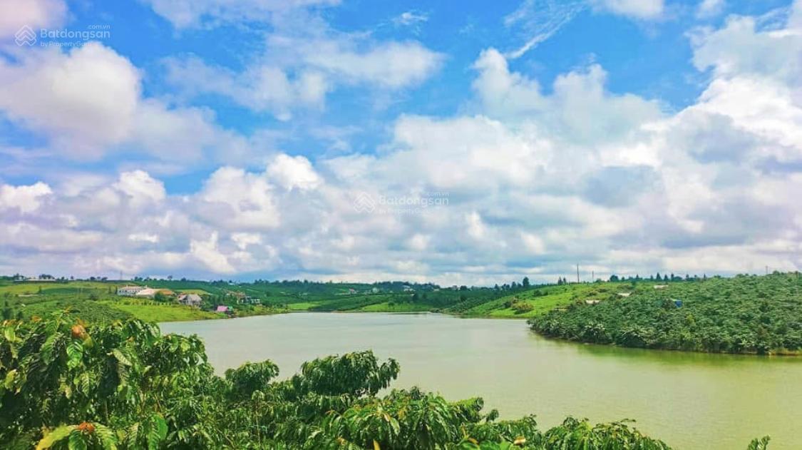 Đất giáp hồ cực đẹp rộng tới 10000m2, gia chủ không có thời gian và sức khỏe để cải tạo nên cần bán