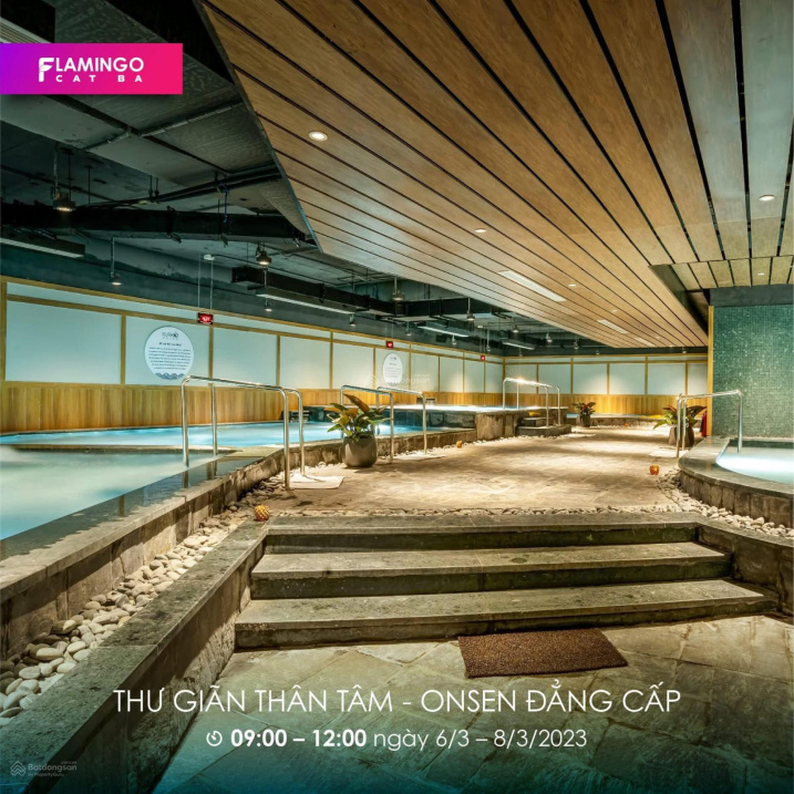 Tôi chính chủ, bán Flamingo Cát bà beach resort. Khoáng nóng Onsen 4 ...