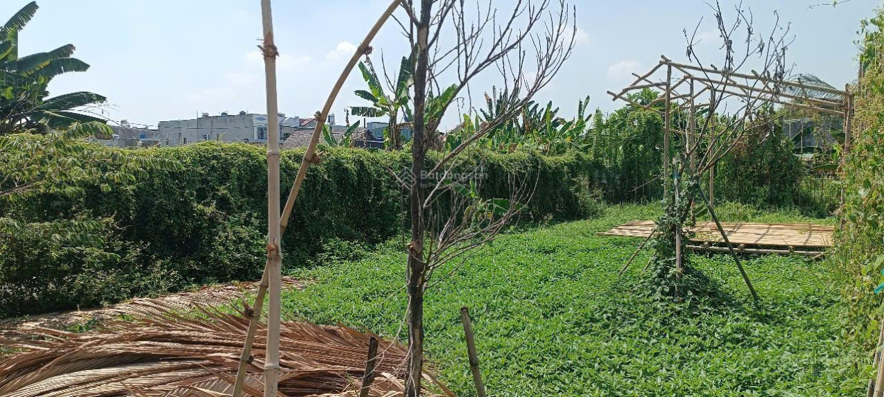 Đất đường Bình Mỹ ô tô thông, 10x12,5m, 560tr, tiện ích đầy đủ