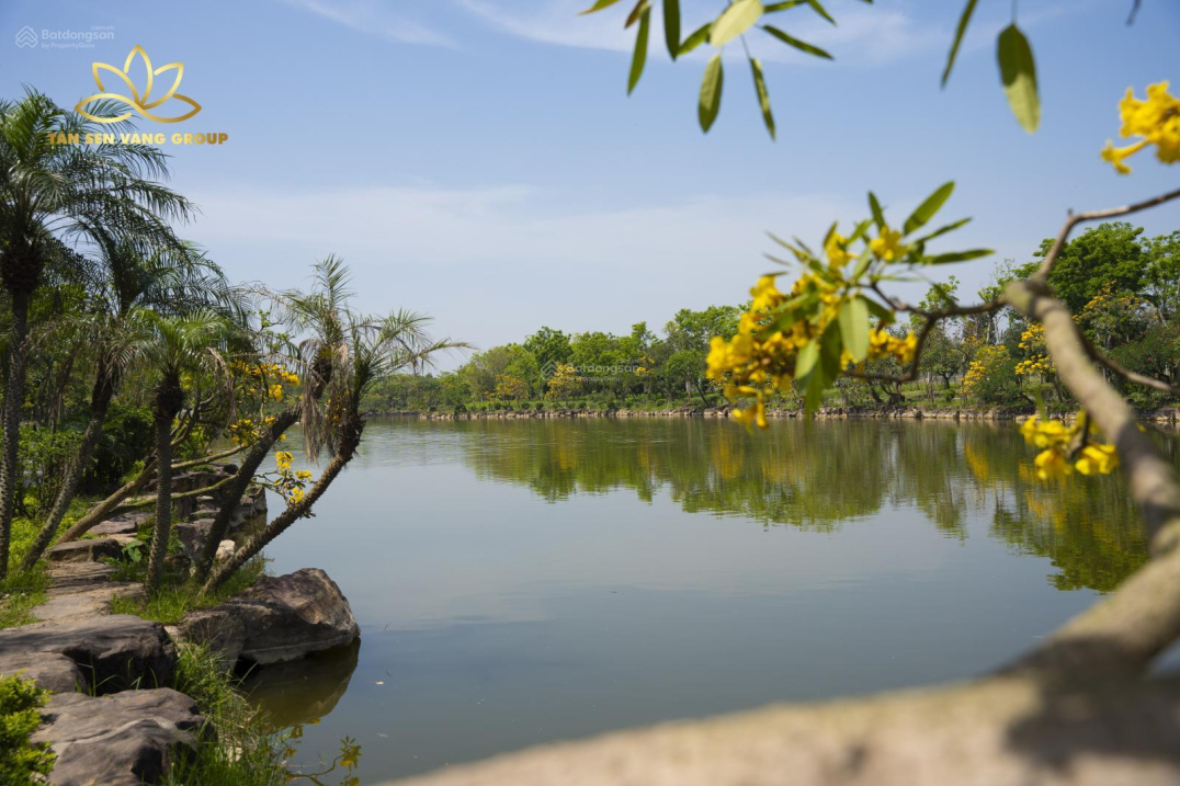 Biệt thự Vườn Hồng, Nam Hồng, Từ Sơn. Vị trí cạnh dự án Sun Group và ĐH ...