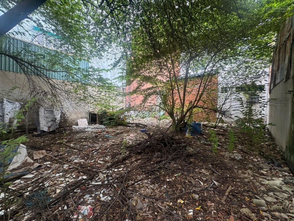 Bán đất trống tại Lê Ngã, 19 tỷ, 271.9 m2, Tân Phú, HCM