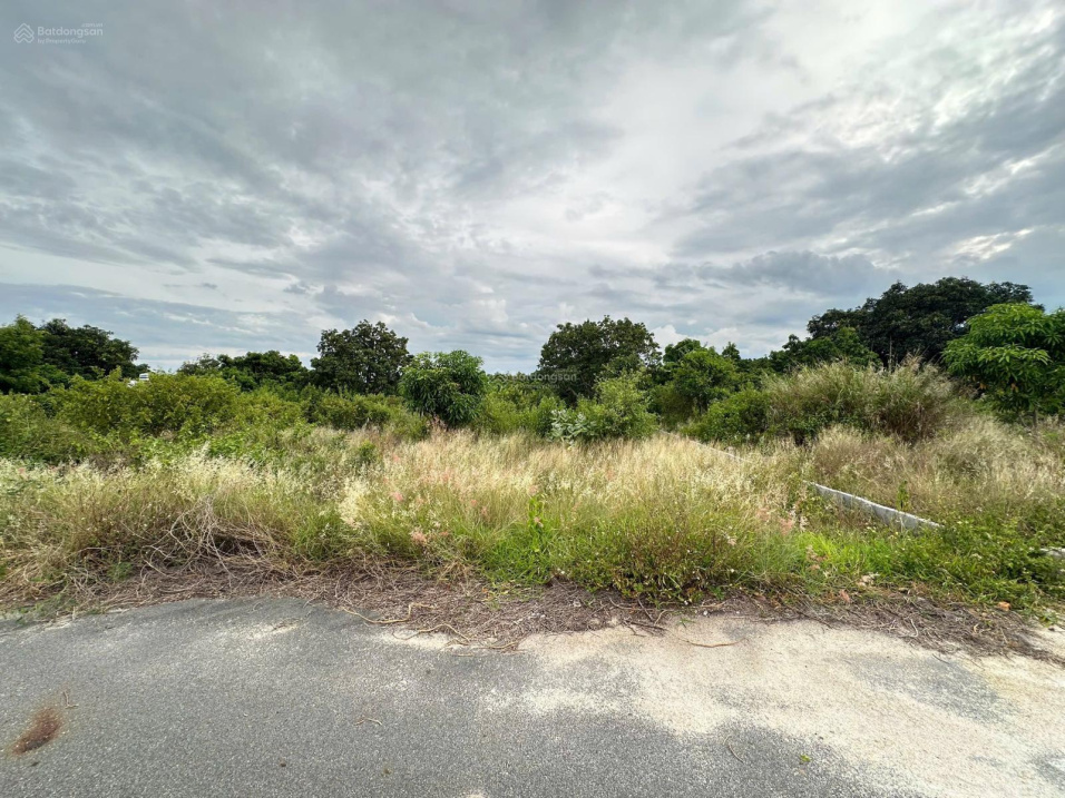 Tôi bán mảnh đất Cam Thành Bắc ven Đầm Thuỷ Triều, thuộc khu an toàn giữ lại theo QH 2045 100% thổ