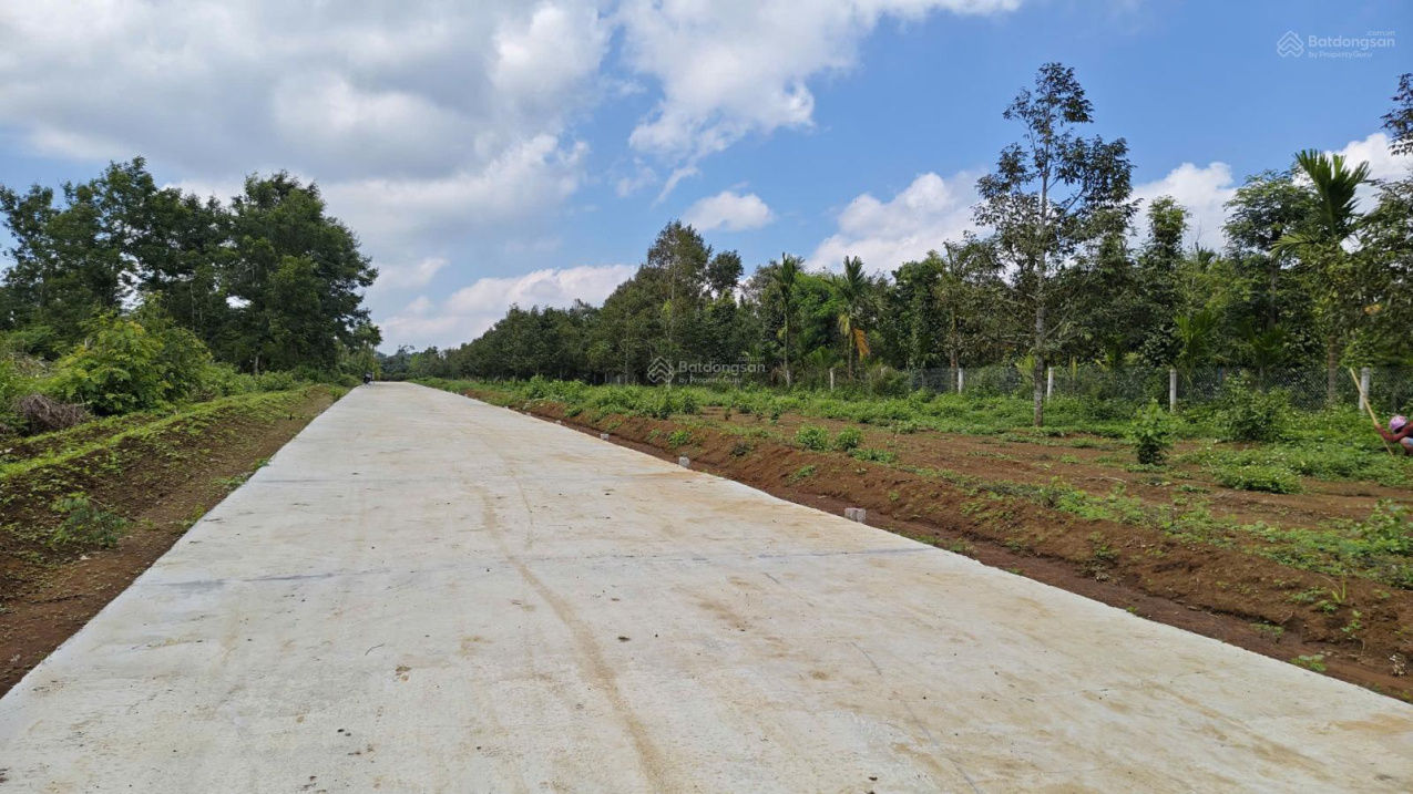 350 Triệu Full Thổ Cư Hòa Đông