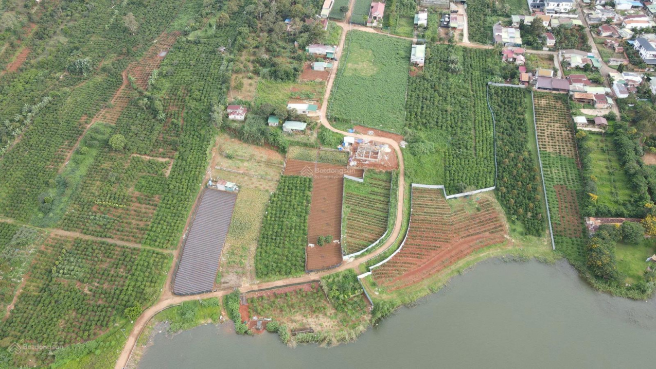 Đất vàng Hồ Đông view trực diện hồ, cơ hội hiếm cho nhà đầu tư! Vị trí ...