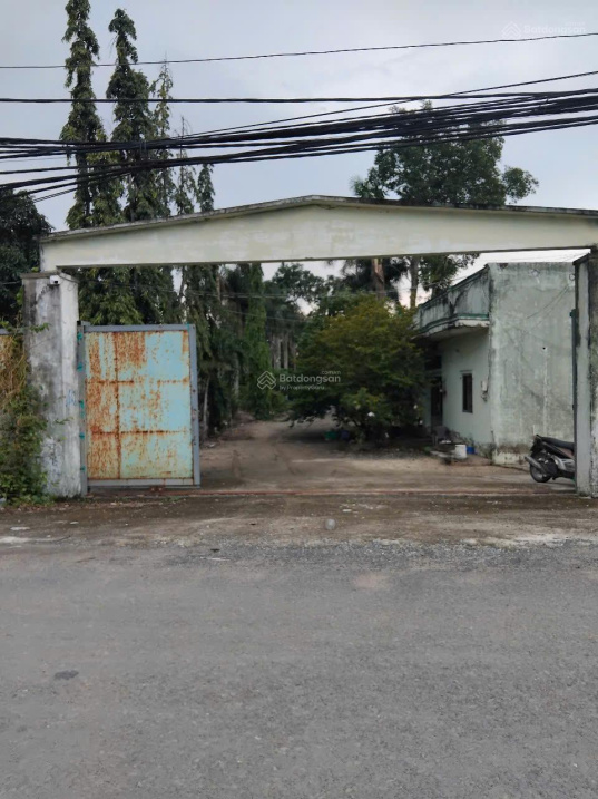 Bán MT Bộ Đội An Điền ngay Vành Đai 3, Bình Chánh - Diện tích: 19.600m² ...