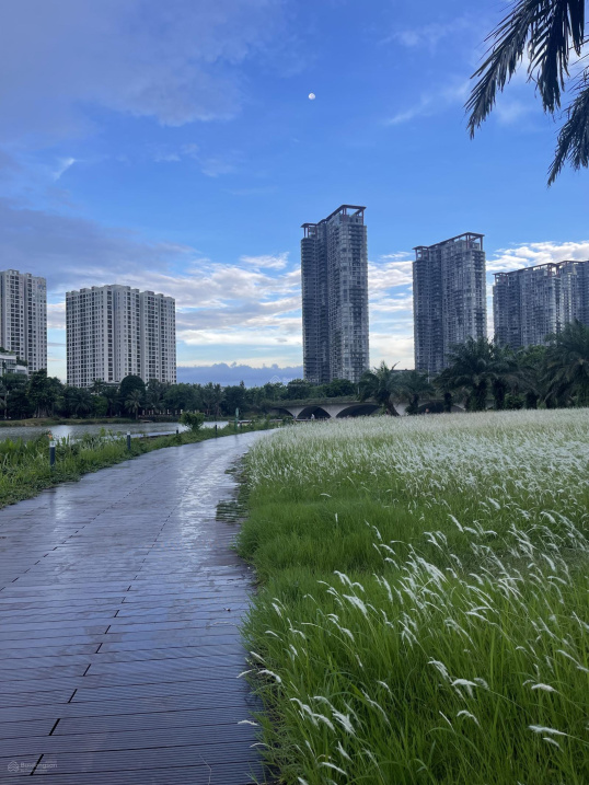 Cần bán căn Studio toà SF1 Skyforest hướng Nam giá 2.58 tỷ bao phí Lh 0961 694