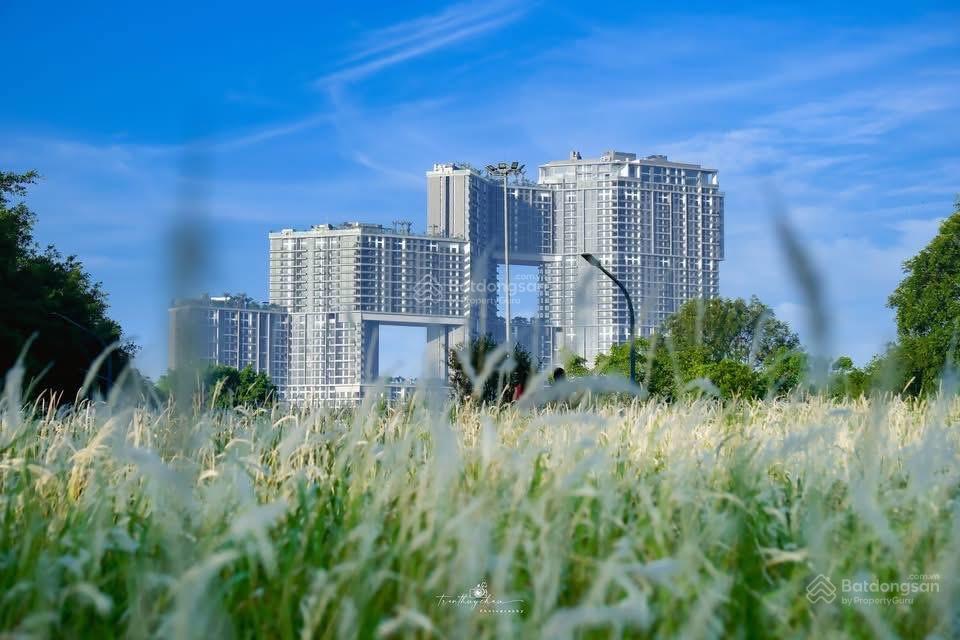 Bán nhanh mezza Sky Forest view sông Hồng cực đẹp