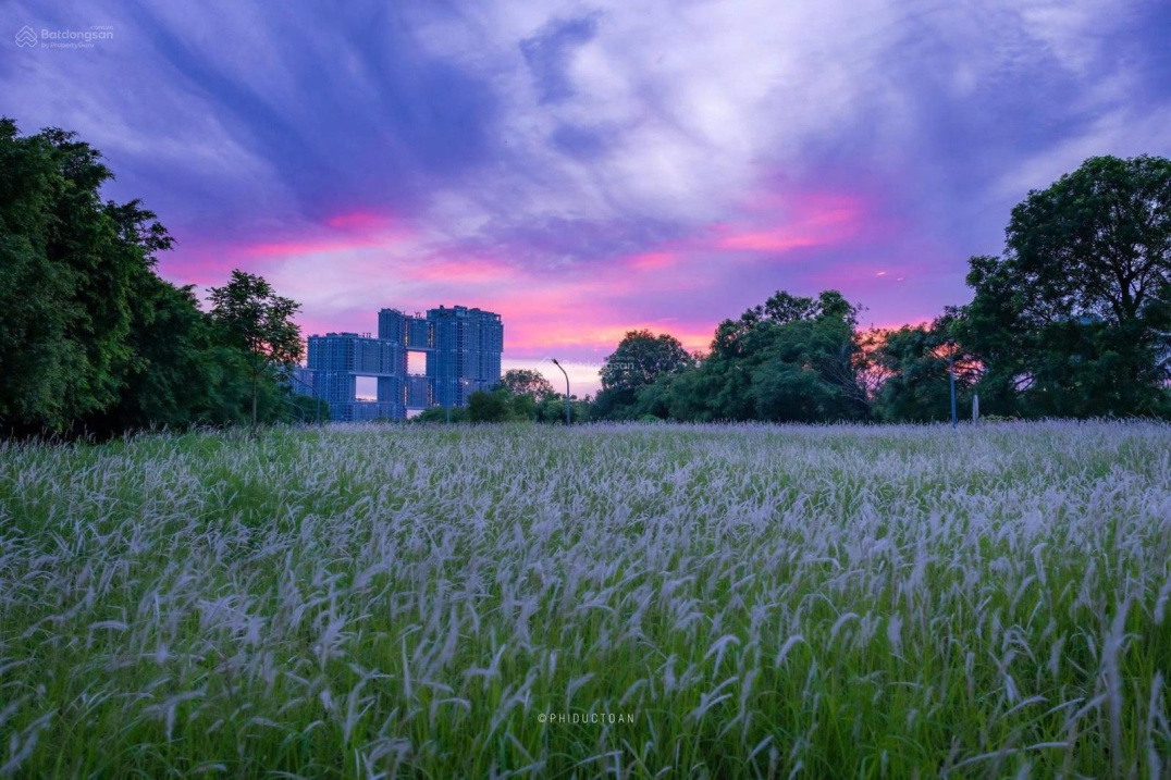 Bán nhanh mezza Sky Forest view sông Hồng cực đẹp
