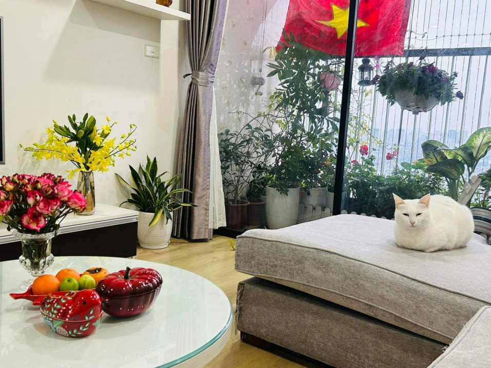 Bán căn hộ VINACONEX2 Kim Văn Kim Lũ, giá chỉ 7 tỷ, DT 102m2- 3N2WC ...