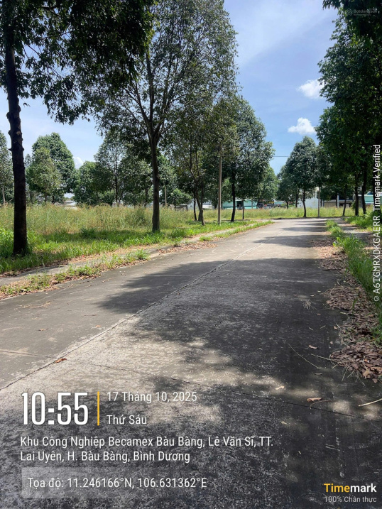 Ngay nhà văn hóa , đường 13m sau lưng TTHC Bàu Bàng , sổ sẵn xây dựng tự do