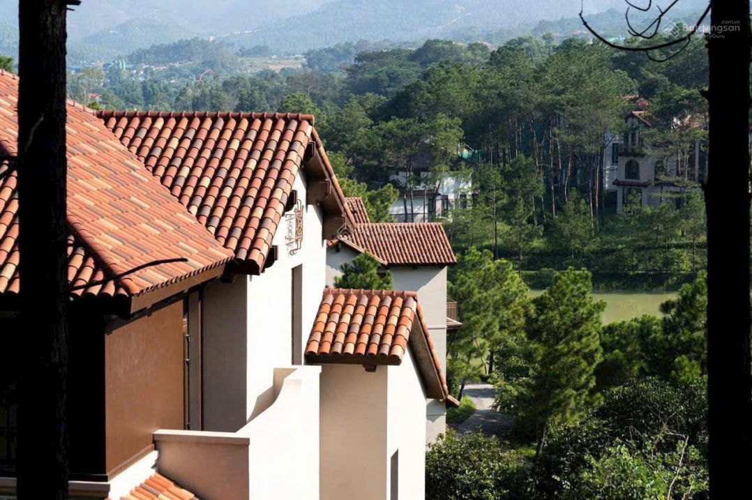 Chính Chủ Bán Căn Siêu Hiếm, Duy Nhất SR02-93 Liền Kề. Phân khu Spring - Thanh Xuân Valley Giá Tốt!