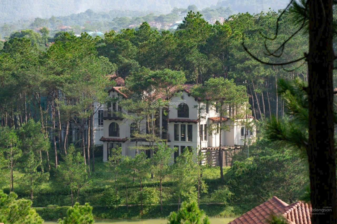 Chính Chủ Bán Căn Siêu Hiếm, Duy Nhất SR02-93 Liền Kề. Phân khu Spring - Thanh Xuân Valley Giá Tốt!