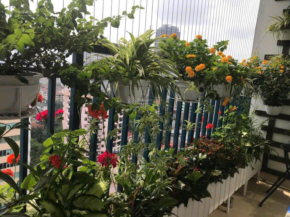 BÁN CĂN HỘ HOT A10 NAM TRUNG YÊN 3N2VS FULL ĐỒ, Ở NGAY, VIEW ĐẸP GIÁ ...