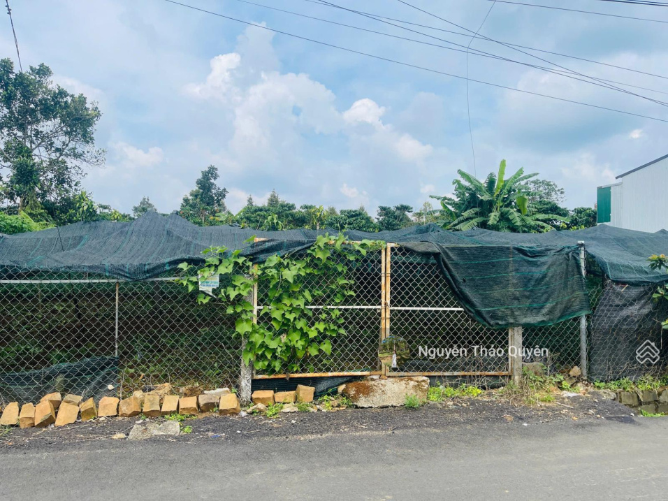 ĐẤT FULL THỔ CƯ - HẺM 994 TRẦN PHÚ - NGAY CHỢ TÂN BÙI - LỘC CHÂU - TP ...