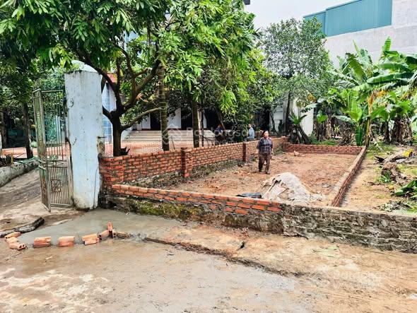 CHÍNH CHỦ GỬI BÁN LÔ ĐẤT 50M TẠI TRÁNG VIỆT NGÕ THÔNG ĐƯỜNG Ô TÔ TRÁNH ...