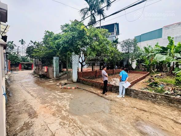 CHÍNH CHỦ GỬI BÁN LÔ ĐẤT 50M TẠI TRÁNG VIỆT NGÕ THÔNG ĐƯỜNG Ô TÔ TRÁNH ...