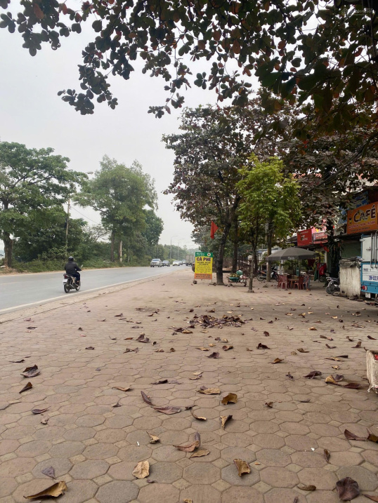 Lô đất siêu đẹp. Tiên Hội Đông Anh cây đa Bác Hồ, lô đất mặt đường ...
