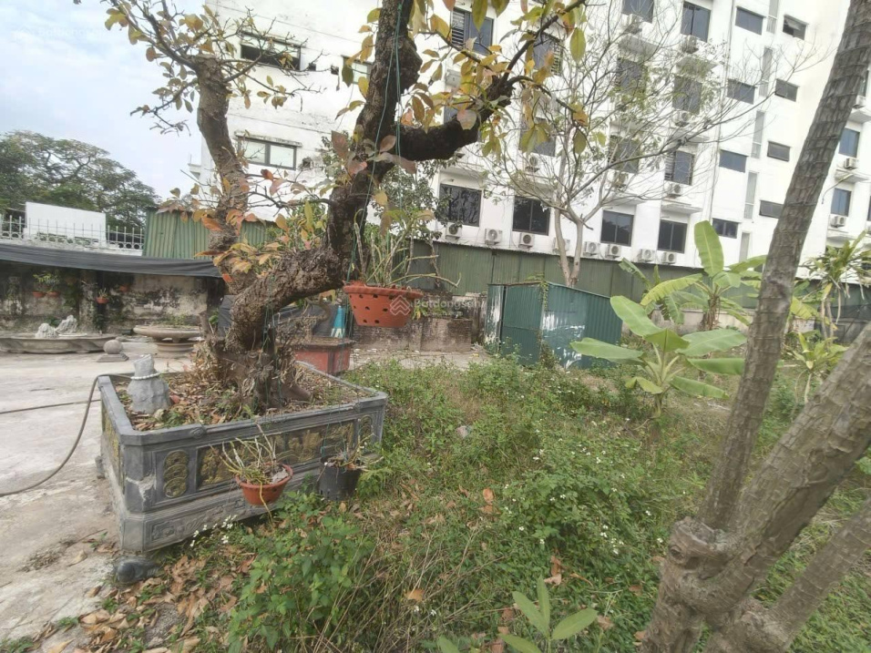 Đất kẹt, rau xanh 480m2, MT 21m, container, 5.3 tỷ, Kim Chung, Đông Anh