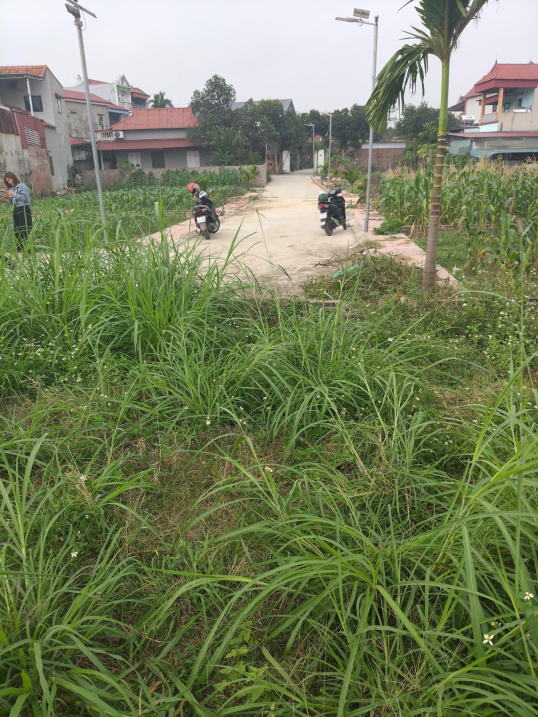 TẠI ĐƯỜNG BỜ HỒ THANH TRÍ KIM ANH SÓC SƠN HN DT87,5m2 MT4,9m ưu điểm 2 ...