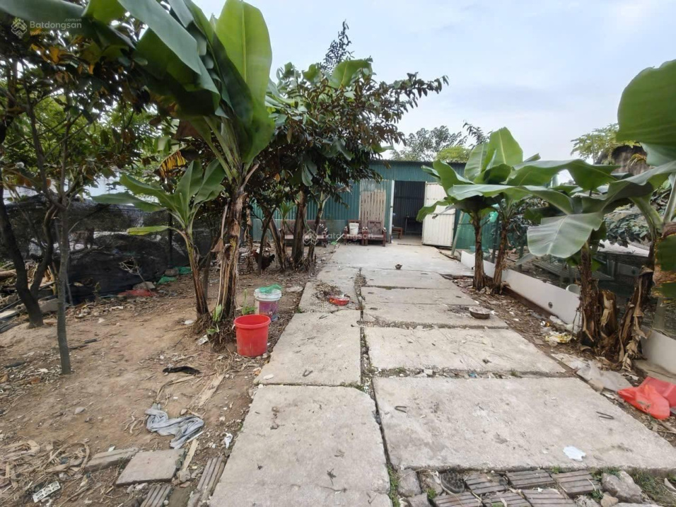 Đất ruộng SXNN, 243m2, mt 10m, 1.25 tỷ, 3 xe ô tô tránh, vỉa hè, nhà C4 ...