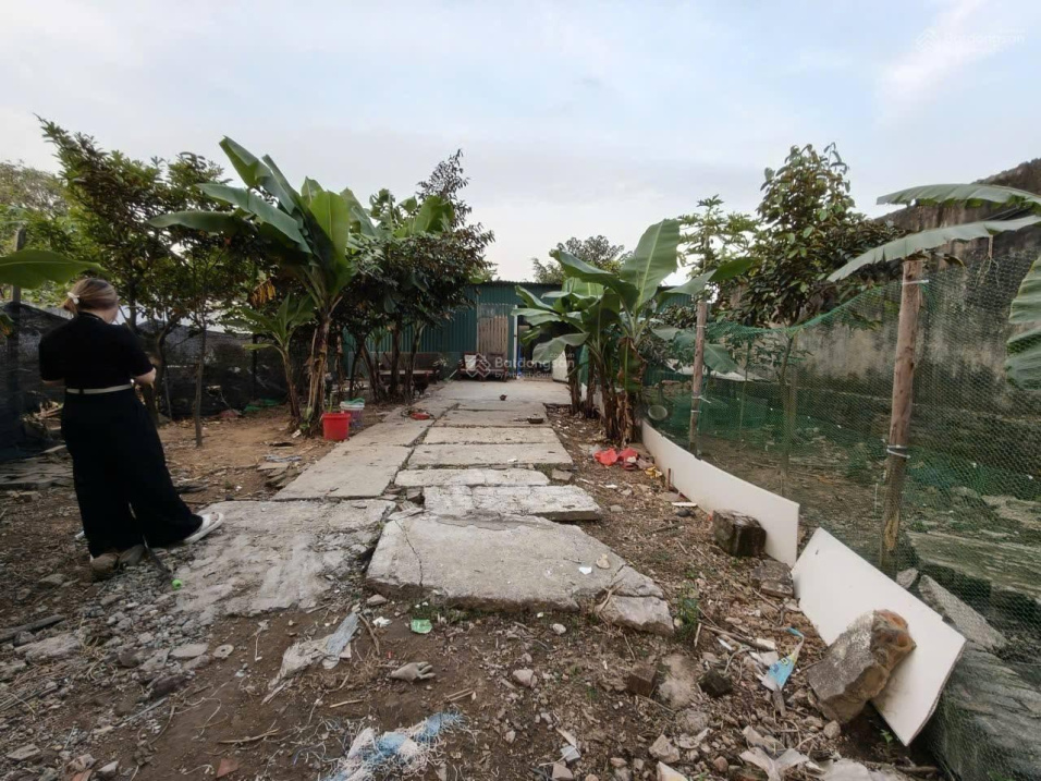 Đất ruộng SXNN, 243m2, mt 10m, 1.25 tỷ, 3 xe ô tô tránh, vỉa hè, nhà C4 ...