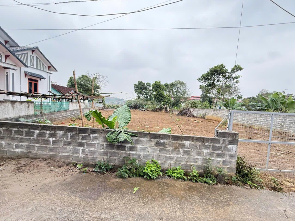 Bán đất 784m2 tại Phú Mãn ( Phú Cát ) Hà Nội. Mặt tiền 17m bằng hậu ...