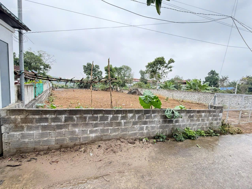 Bán đất 784m2 tại Phú Mãn ( Phú Cát ) Hà Nội. Mặt tiền 17m bằng hậu ...