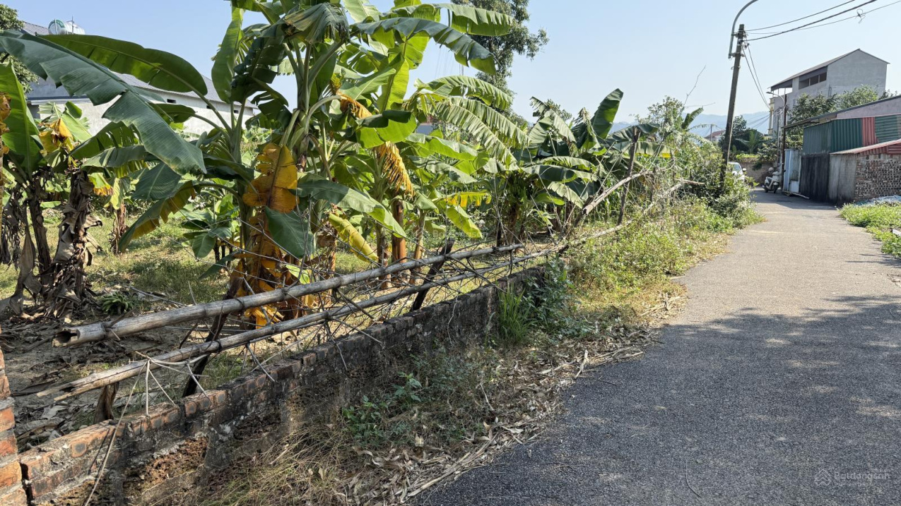 Đất nghỉ dưỡng - Đại Lải - Ngọc Thanh - diện tích 1200m2 - mặt tiền 50m ...