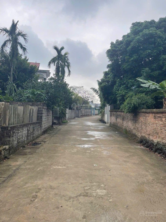 Cần bán gấp 98.8m ful thổ cư 2mặt tiền Thuộc tái định cư hoàng văn thụ ...