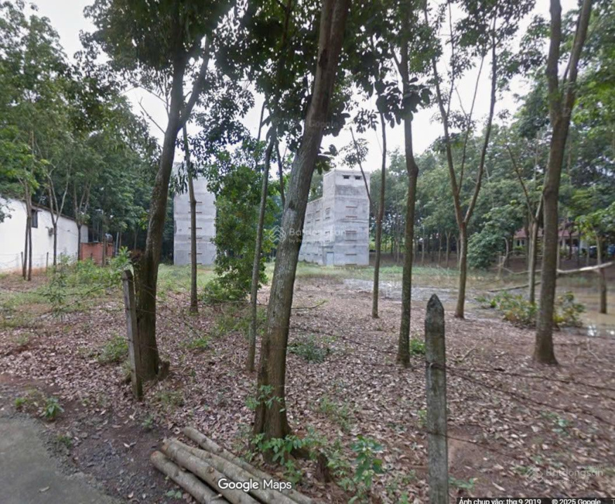 Bán gấp đất 3500m2 thổ cư 150m2, sẵn 2 căn nhà yến, tại Tân Định, Bến ...